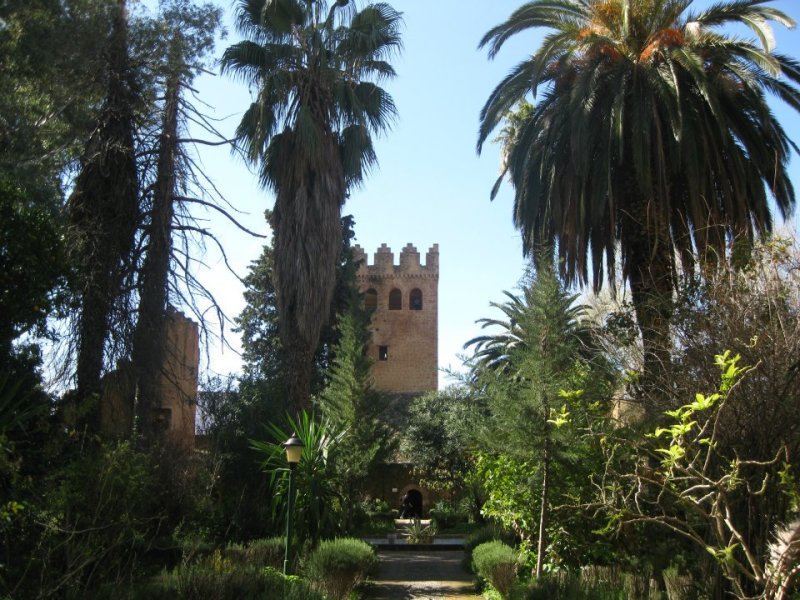 The Magic of Morocco | A review for AMIDEAST: Rabat - Regional Studies ...