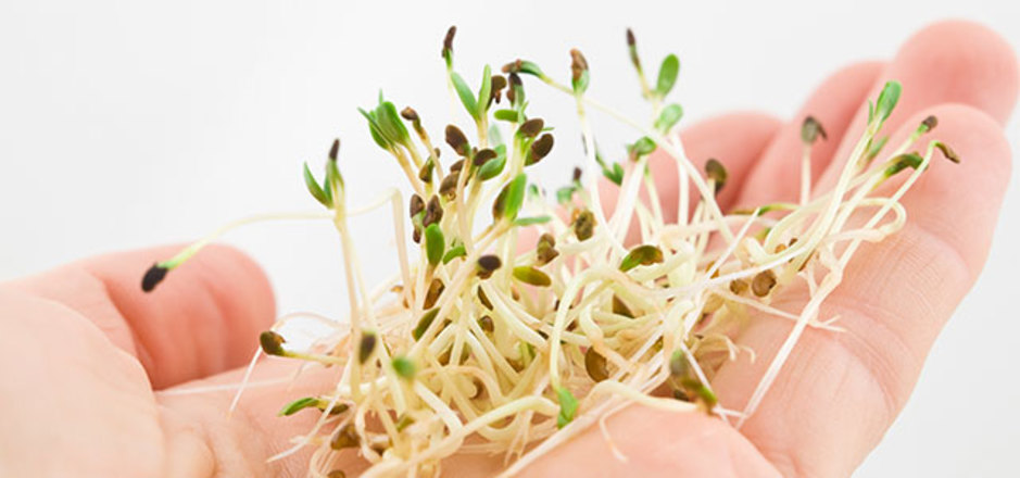 Super Sprouts - HopeChannel