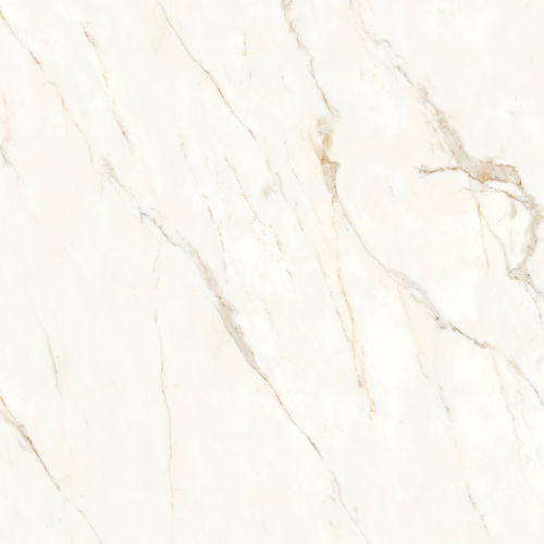 Magnifica Porcelain | Bedrosians Tile & Stone
