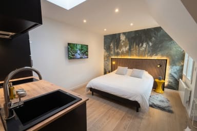 Studio Moderne : Confort & Style - Schiltigheim
