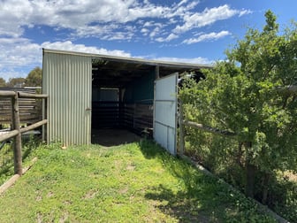 Commercial Real Estate