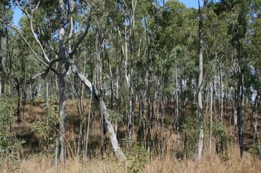 Rural & Farming Property Sold in . Thwaites Road, Iveragh QLD 4680 ...