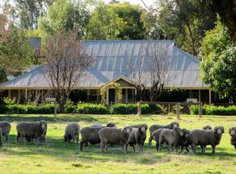 Commercial Real Estate