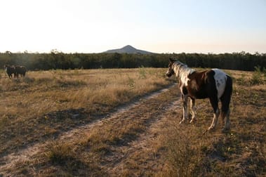 Commercial Real Estate