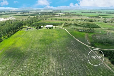 Commercial Real Estate