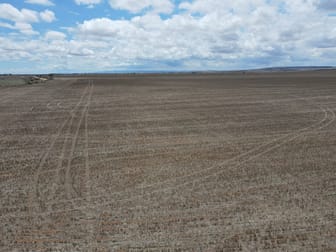 4034 Spencer Hwy, Clements Gap SA 5523 - Rural & Farming For Sale ...