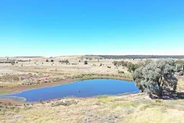 Commercial Real Estate