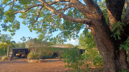 Commercial Real Estate