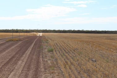 Rural & Farming Property Sold in 1568 Pickernell Road, Varley WA 6355 ...