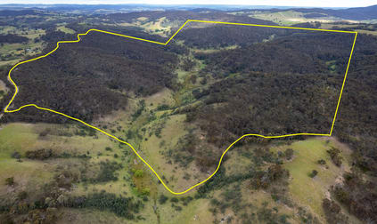 Commercial Real Estate