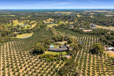 Commercial Real Estate