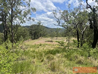 Rural & Farming For Sale in Nowendoc Road, Caffreys Flat NSW 2424 ...