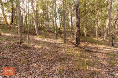 62 Una Road, Bucketty NSW 2250 - Rural & Farming For Sale | Commercial ...