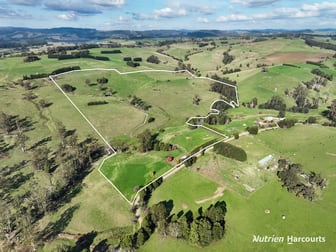 Commercial Real Estate