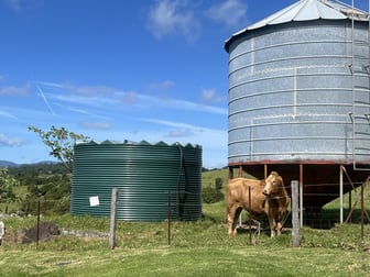 Rural & Farming Property For Sale in 616 South West Road, Beechmont QLD ...