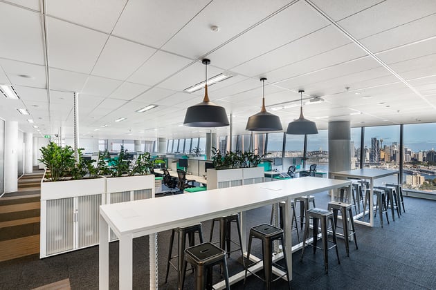 40 Mount Street, North Sydney NSW 2060 - Office For Lease | Commercial ...