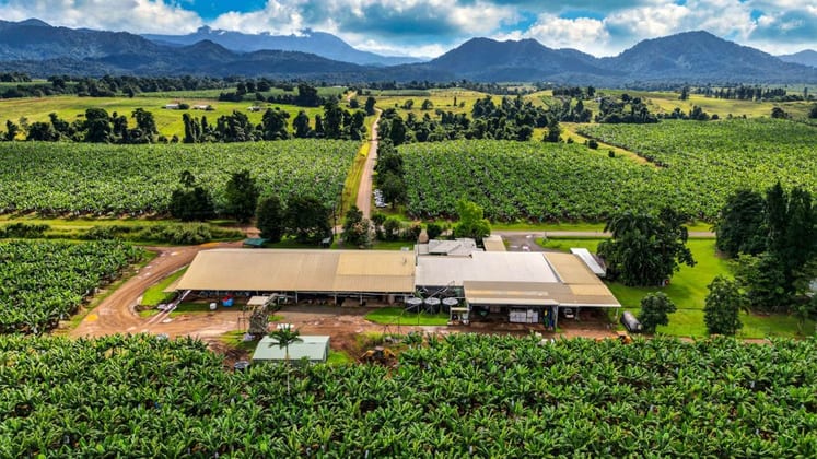 Rural & Farming For Sale in 1020 Pullom Road, Nerada QLD 4860 ...