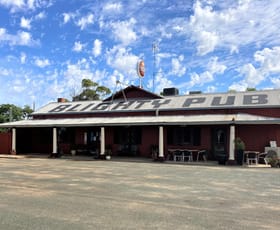 12 Hotel, Motel, Pub & Leisure Properties Sold in Blighty, NSW 2713