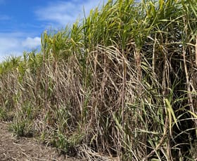 170 Rural & Farming Properties For Sale in Mackay, QLD 4740