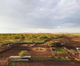 78 Rural & Farming Properties For Sale in NT