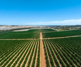 400 Rural & Farming Properties For Sale in WA