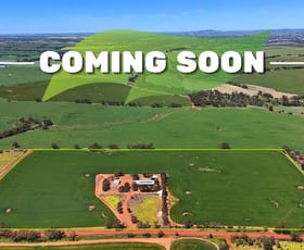 Commercial Real Estate