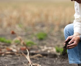 7,978 Rural & Farming Properties Sold in Bongeen, QLD 4356