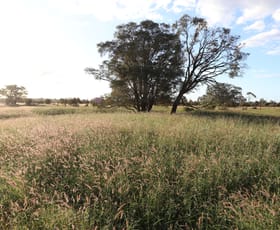 148 Rural & Farming Properties For Sale in Mackay, QLD 4740