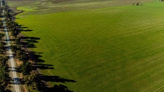 Paul Quade - Quade Moncrieff Livestock & Property | Commercial Real Estate