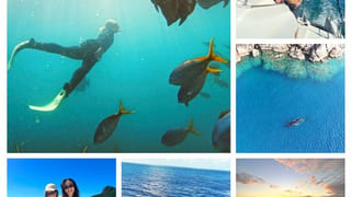 Marine - Brisbane City QLD 4000 - 2020523175