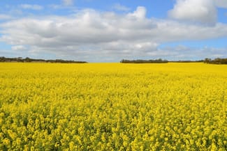 187 Rural & Farming Properties Sold in Wallerberdina, SA 5713