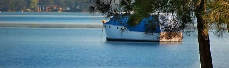 Butcher Businesses for Sale in NSW