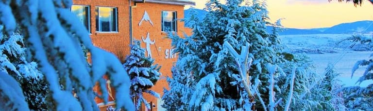 Hotel Businesses for Sale in NSW