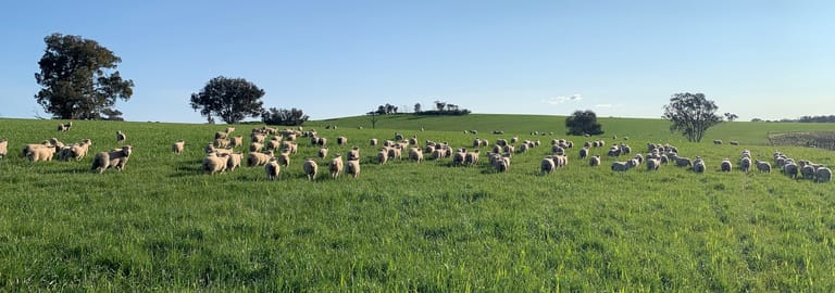 2,829 Rural & Farming Properties For Sale in NSW