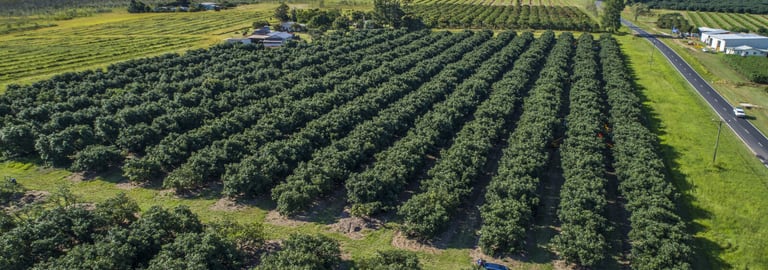 179 Commercial Real Estate Properties For Sale in Mareeba, QLD 4880