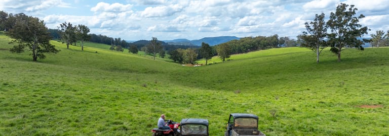 Commercial Real Estate