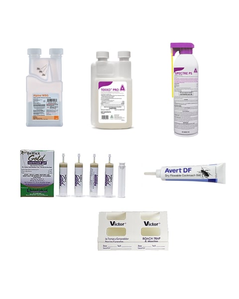 How To Get Rid of German Roaches | Do-It-Yourself Pest Control