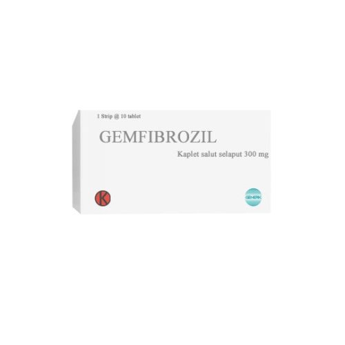 Gemfibrozil 300 Mg 10 Kapsul Phapros - Alodokter Shop