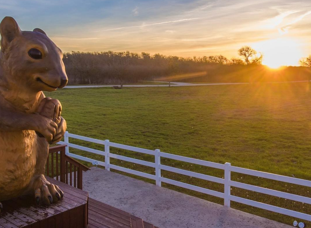 Texas Roadside Attractions Worth Stopping For