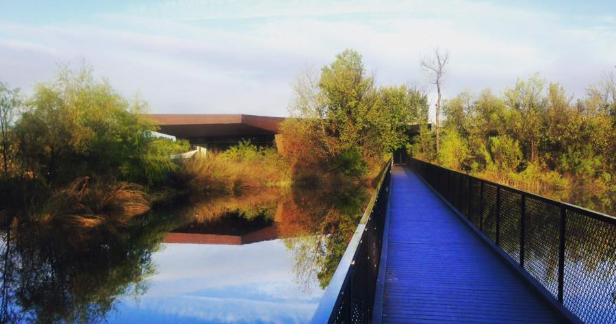 Hiking & Biking Trails