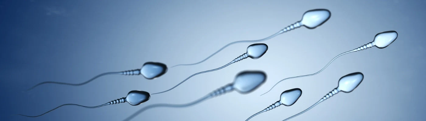 Male Infertility: Nonobstructive and Obstructive Azoospermia