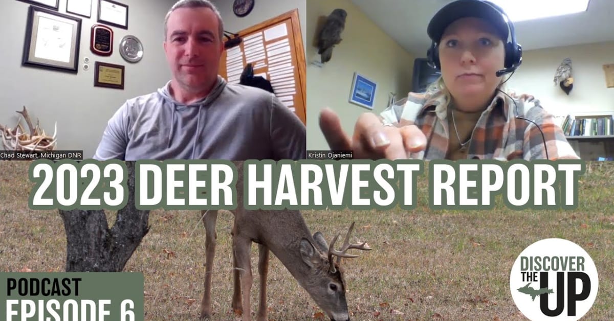 2023 Deer Harvest: Full Interview with Chad Stewart of the MI-DNR ...