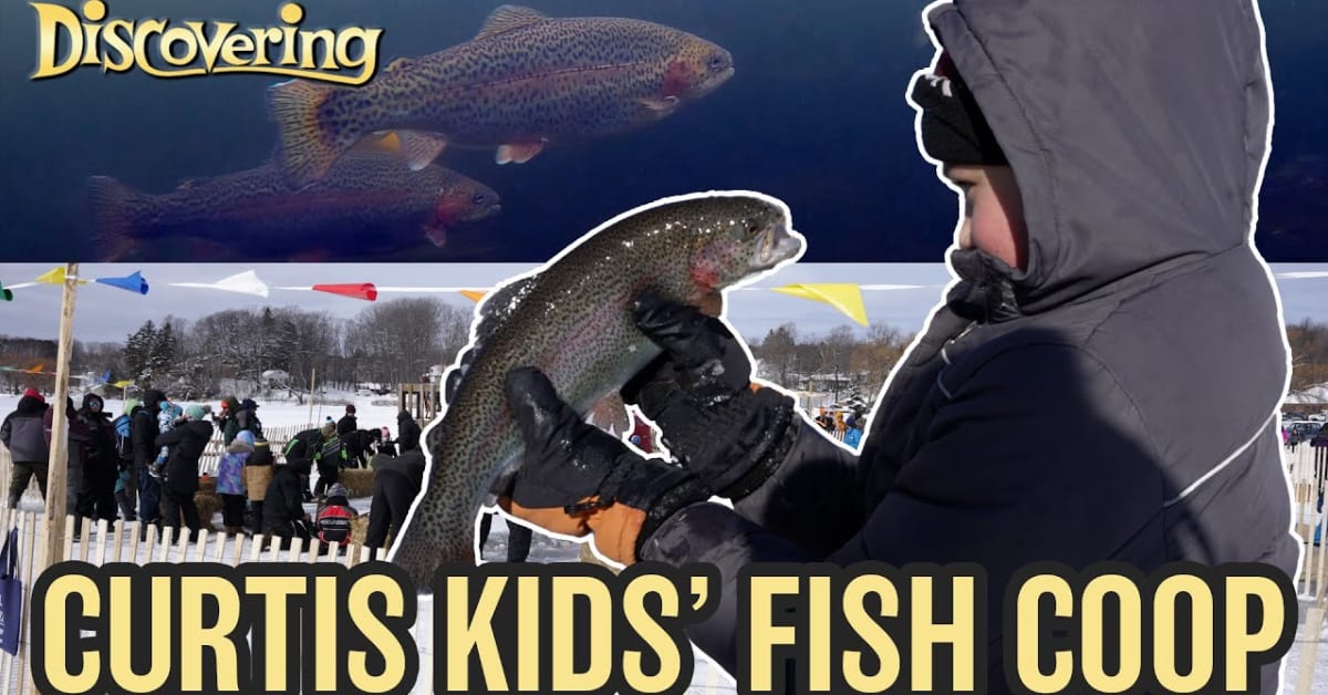 DISCOVERING | Curtis Kids' Fish Coop - 1,000+ Rainbow Trout Under the ...