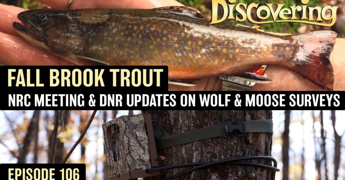 DISCOVERING | Fall Fly Fishing for Brook Trout, NRC Meeting & DNR ...