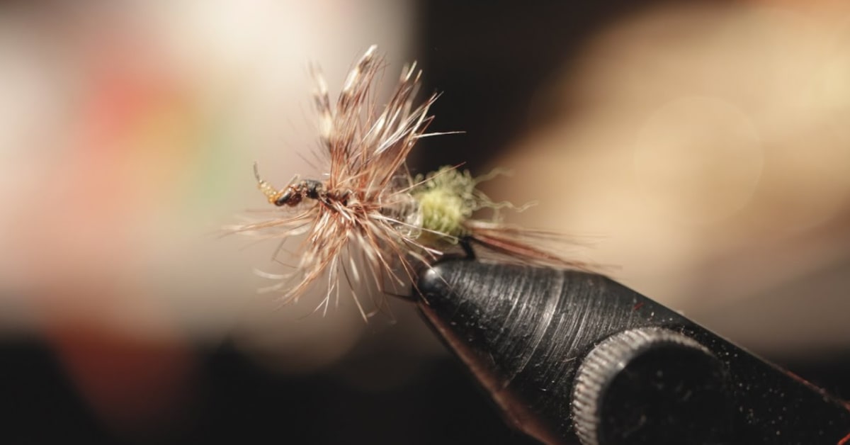 DISCOVER THE U.P. | Fly Tying - Part 1 | Discover the U.P.