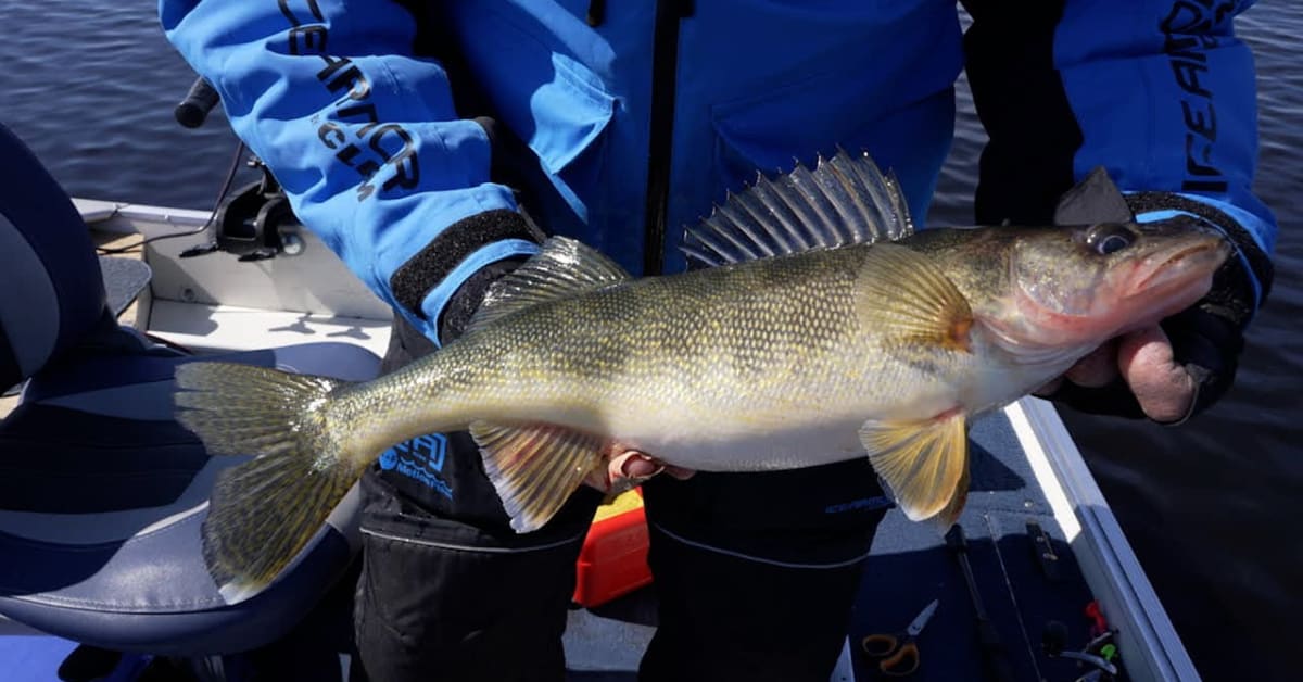 DISCOVERING | Early Spring Walleyes on the Menominee River | Discover ...