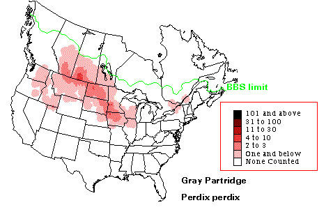 Gray Partridge - eBirdr