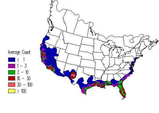 Snowy Egret - eBirdr