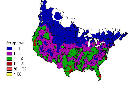 American Kestrel - eBirdr