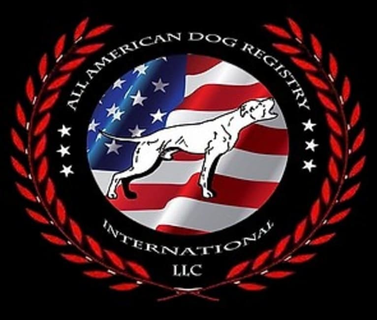 Embark Dog DNA Test - Breed